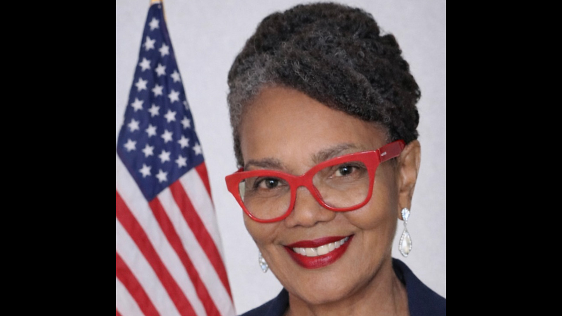 Diane M. Harris | Chicago News | WTTW