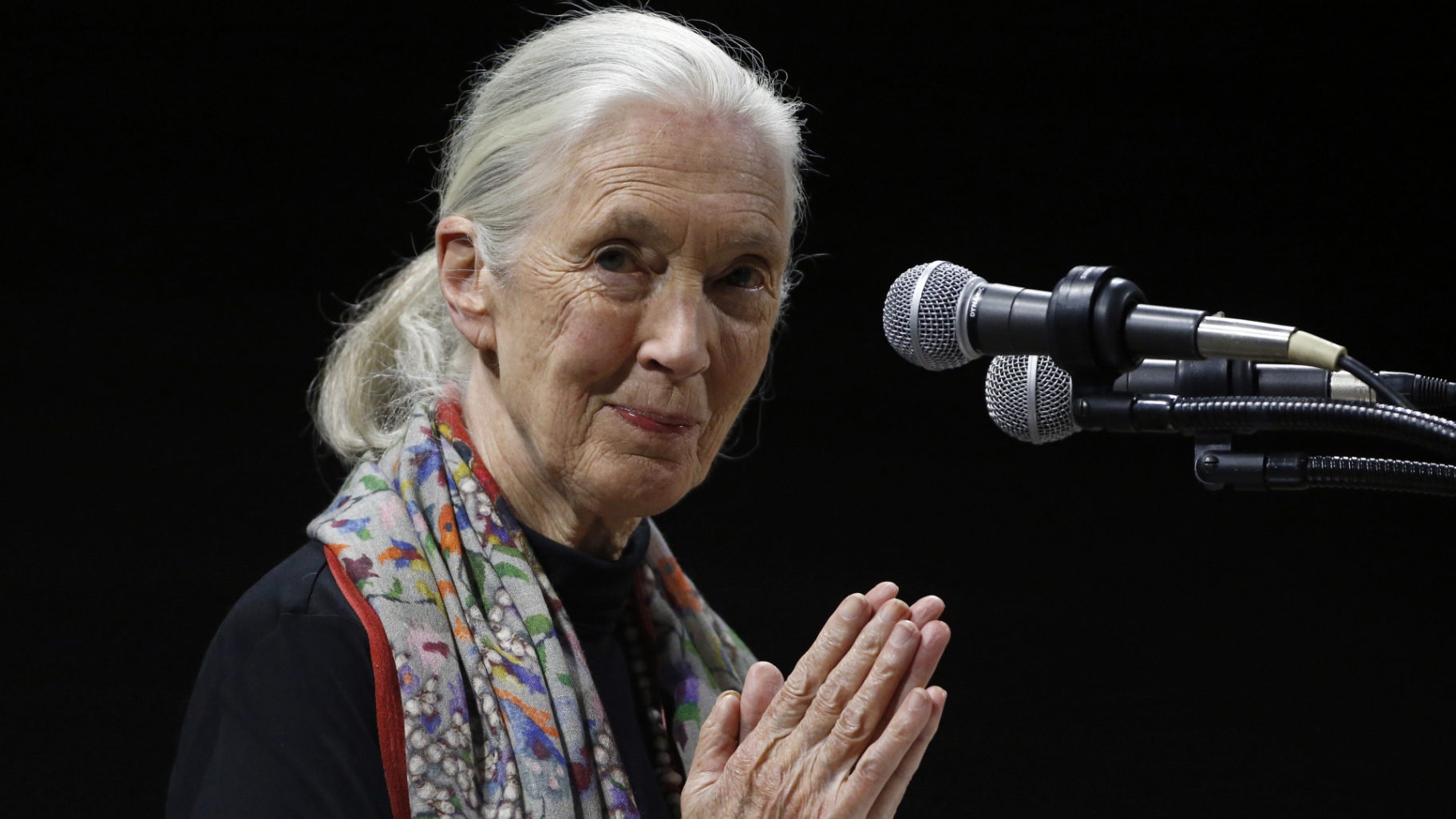 Jane Goodall Speaks on Her Legacy in 2010 ‘Chicago Tonight’ Interview ...