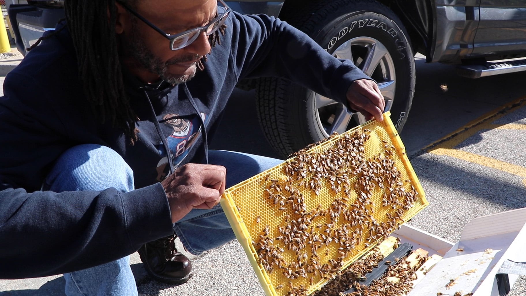 Beekeeping Behind Bars: Inmates Raise Bees at Cook County Jail ...