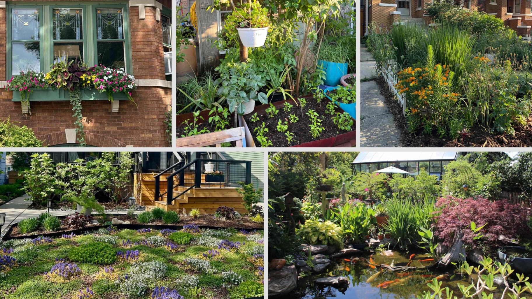 Chicago Bungalow Garden Contest Winners Work Wonders in Small Spaces ...