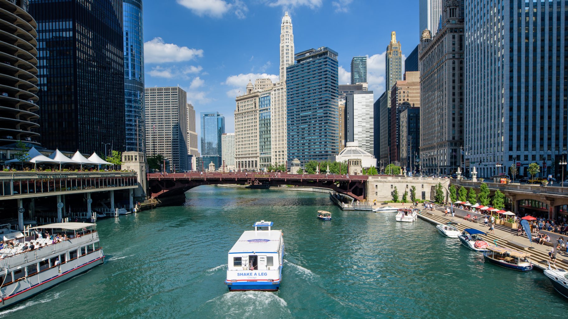 First Chicago River Swim in Nearly 100 Years Set for This Weekend ...