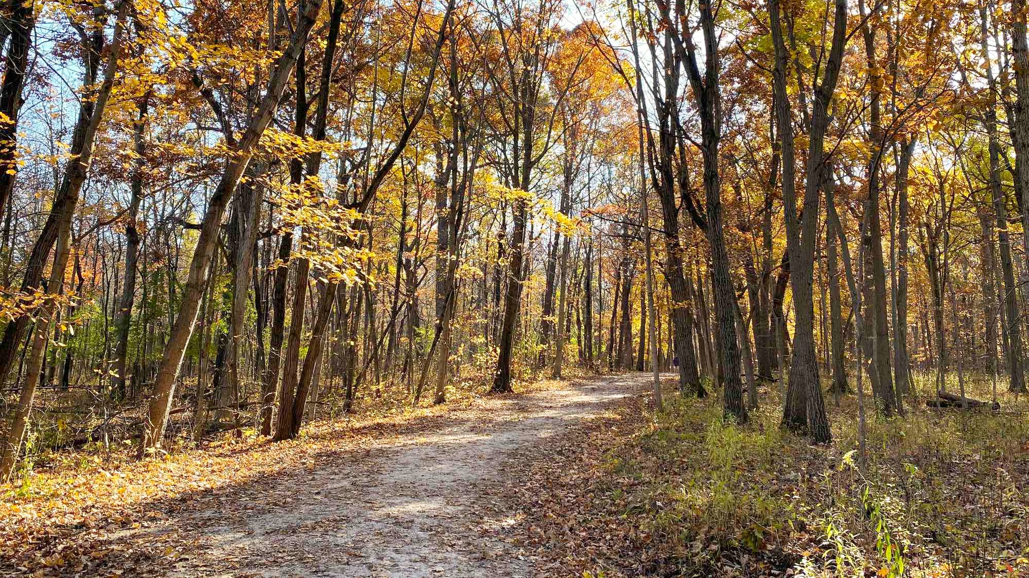 Cook County Forest Preserve Police Increasing Patrols After Bikers ...