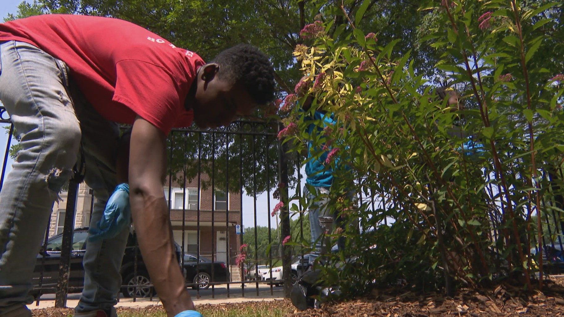 How Student ‘Peace Warriors’ Are Countering Violence on Chicago’s West ...