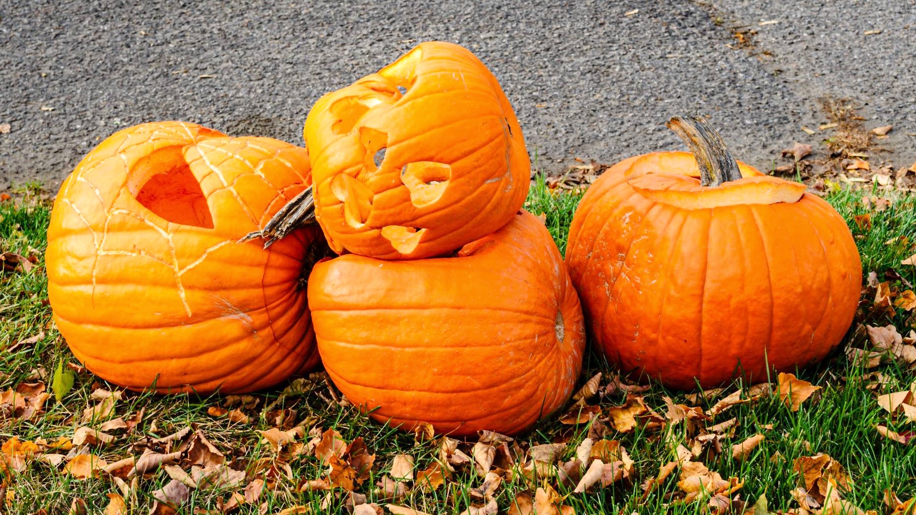 Don’t Let Your Pumpkins Go to Waste, Drop Them Off at a Smashing Event ...