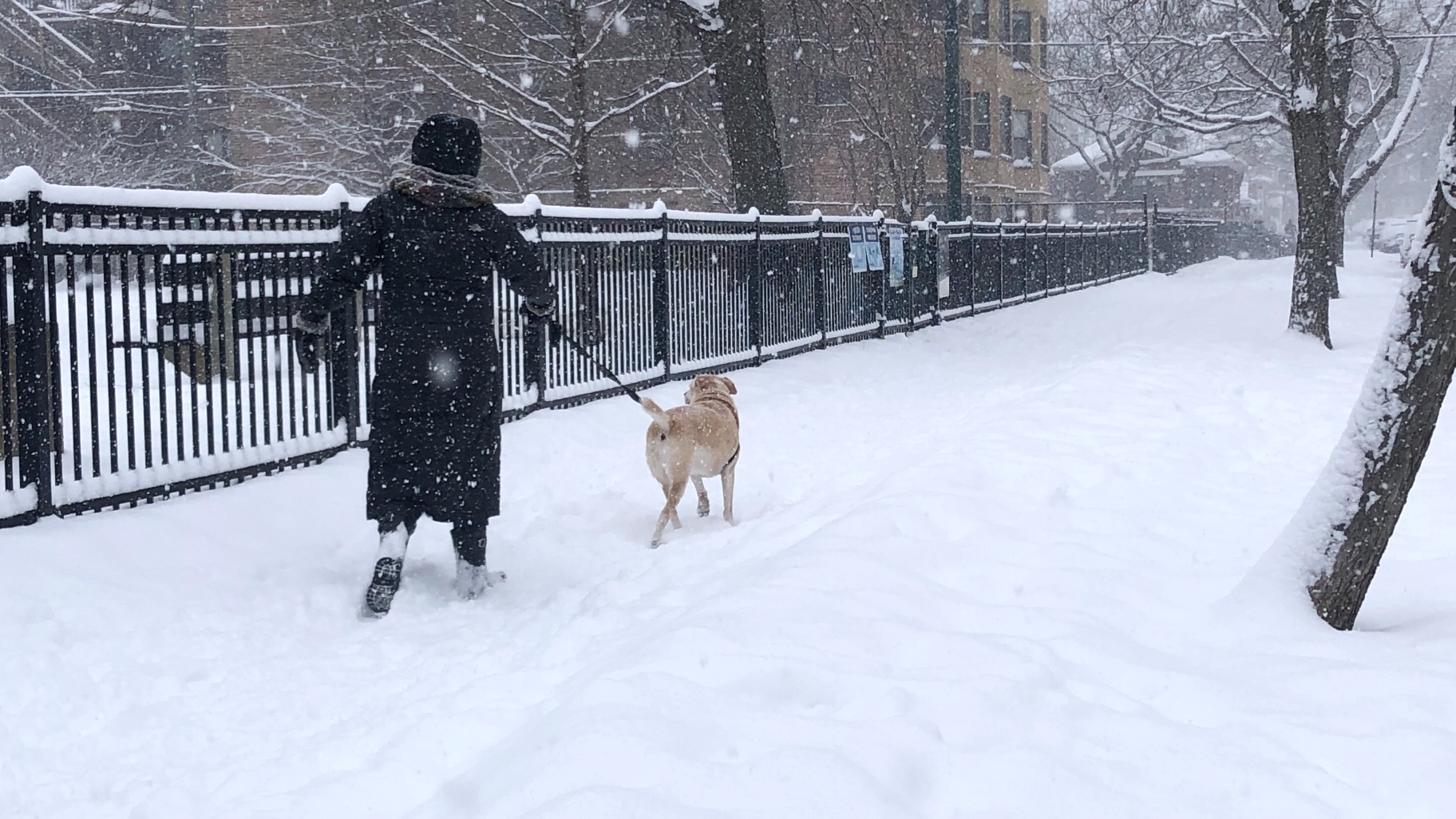 Buckle Up for a Wild Weather Run: Weekend Storm Set to Bring Snow — How ...