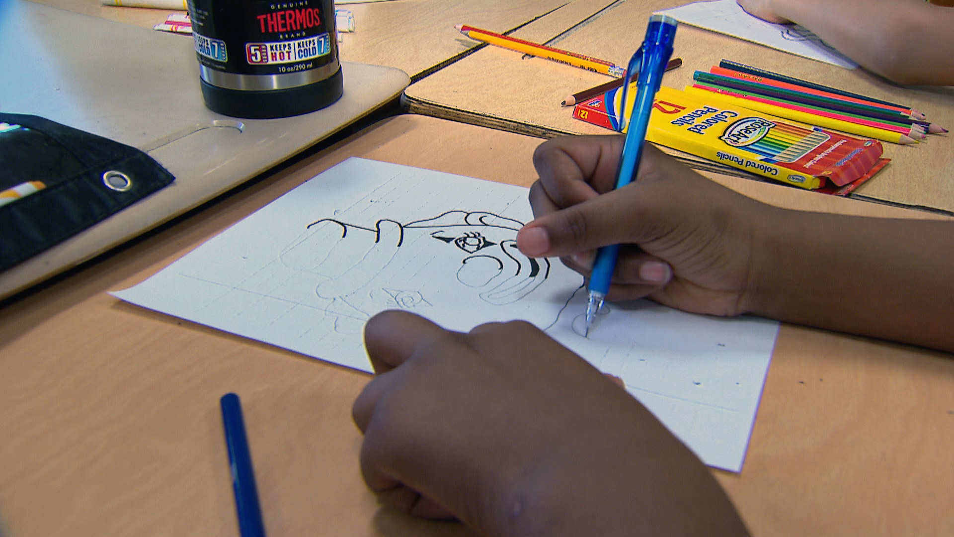 Illinois Education Officials Release New Teaching Standards | Chicago ...