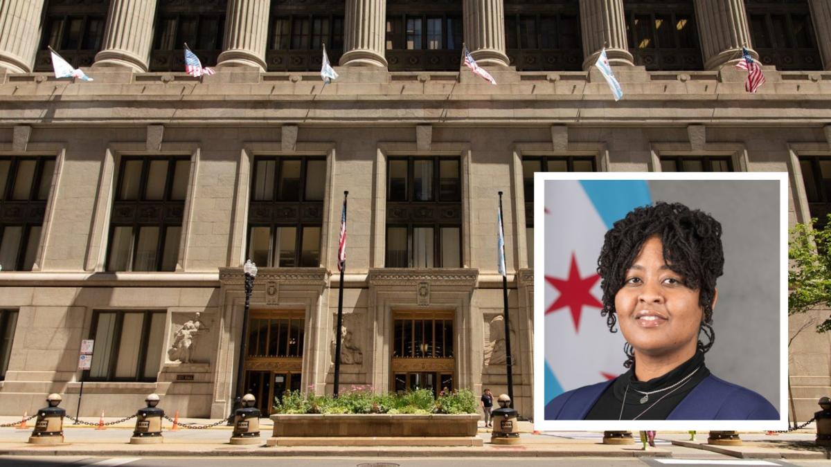 Police Oversight Board Taps COPA’s Interim Head to Lead Police ...