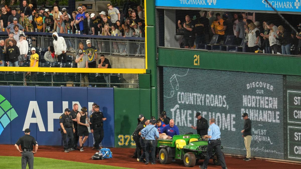 Man Who Fell Over a Railing at PNC Park During Cubs Game in Critical ...