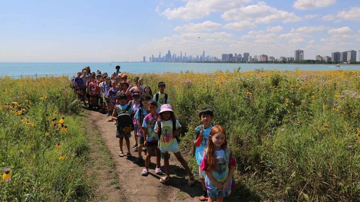 Registration Opens Soon for Chicago Park District’s Summer Day Camp ...
