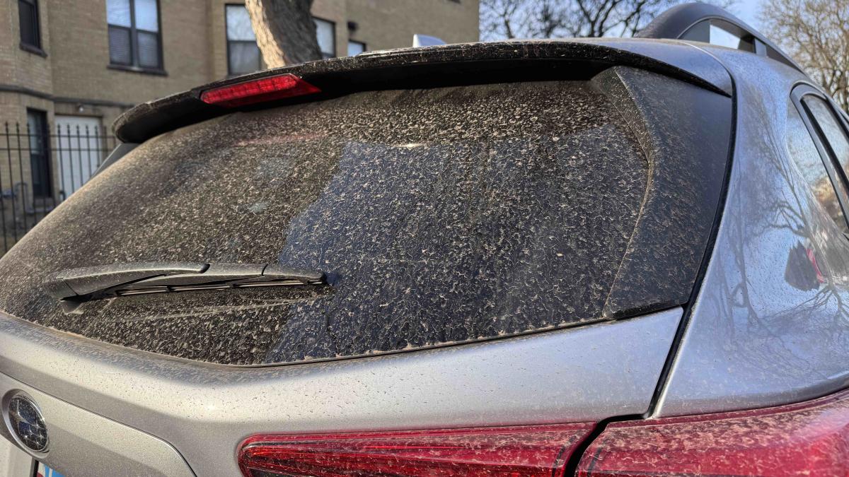 Yep, It Rained Mud in Chicago | Chicago News | WTTW