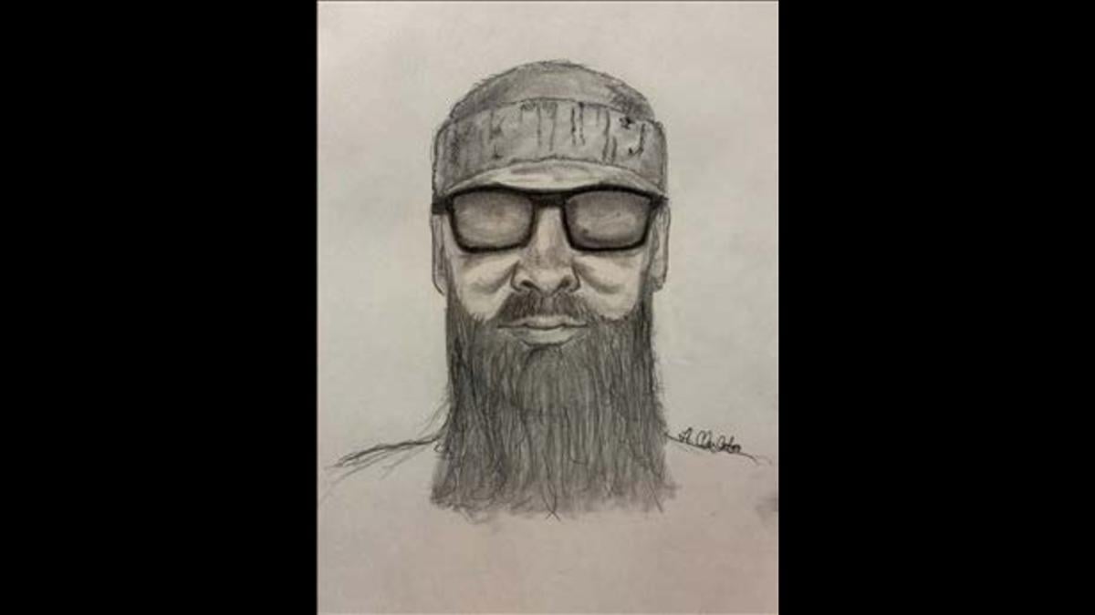 Forest Preserves Police Release Sketch of Suspect in LaBagh Woods ...