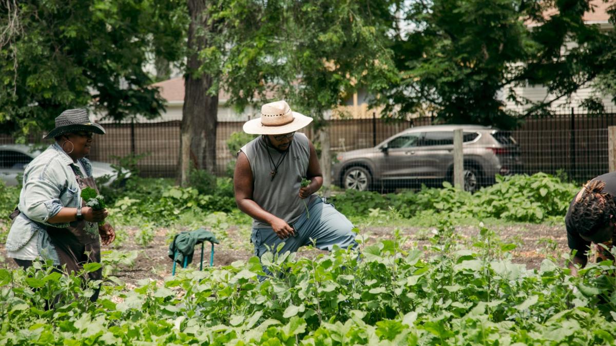 Black History Month Short Film Series Spotlight Directors Shaping ...