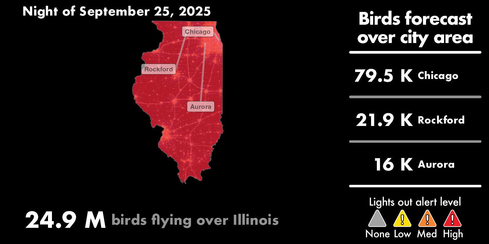 ‘Lights Out,’ Chicago. Bird Migration Will Be Intense Thursday Night ...