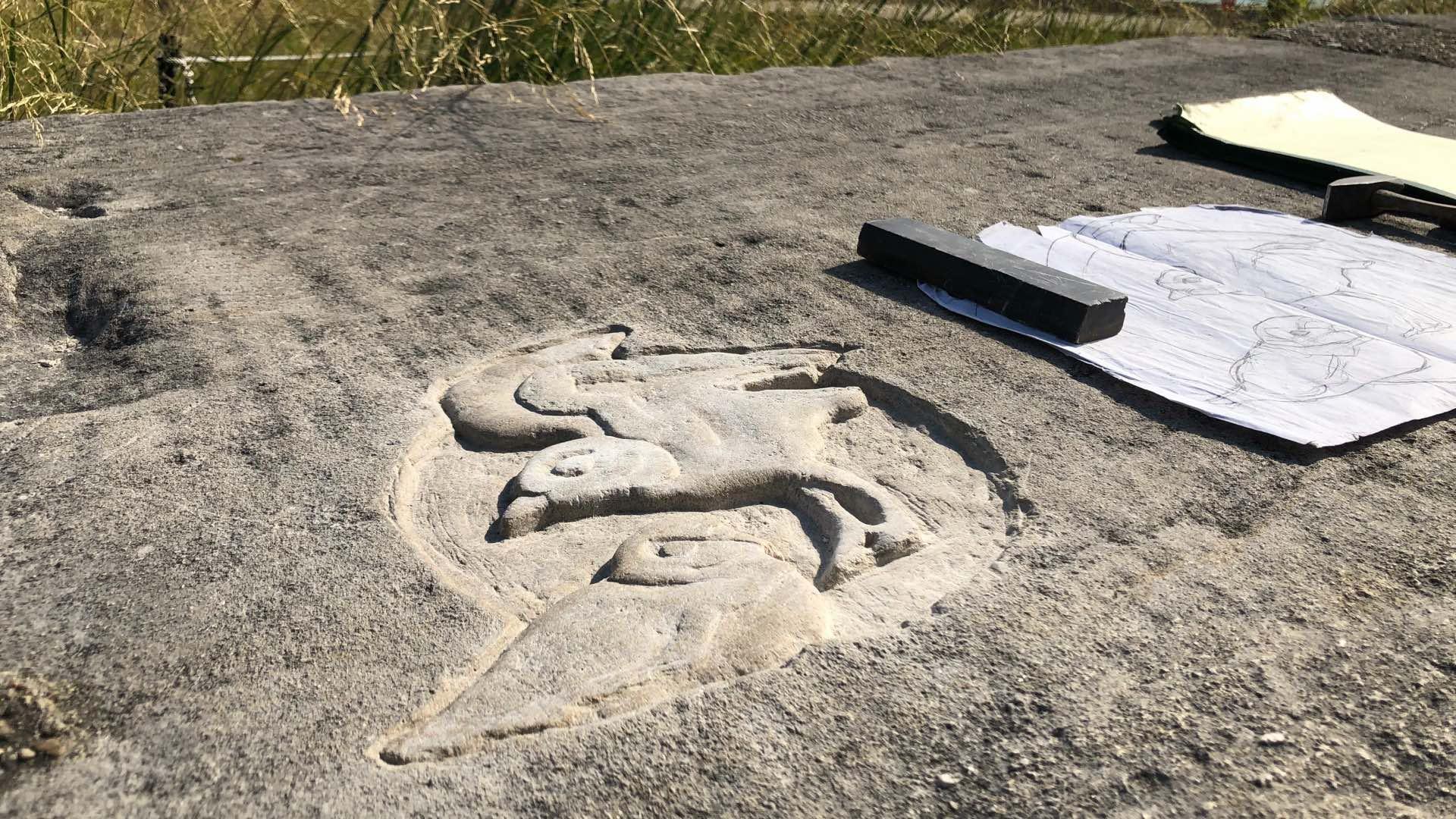 Monty and Rose #4Ever. Park District Names Dune Habitat for Piping ...