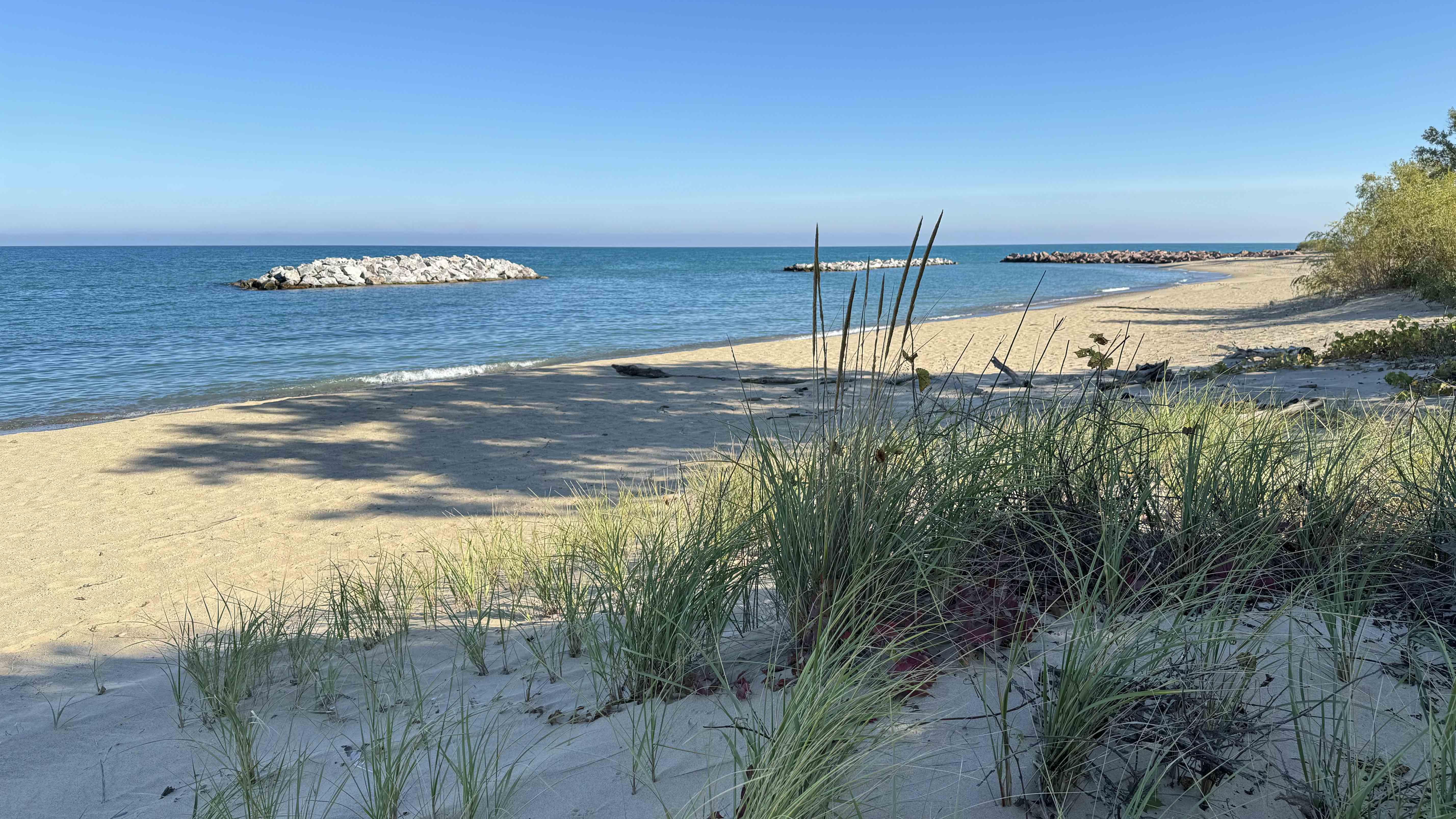 After Nearly Vanishing, the Beach Is Back at Illinois Beach State Park ...