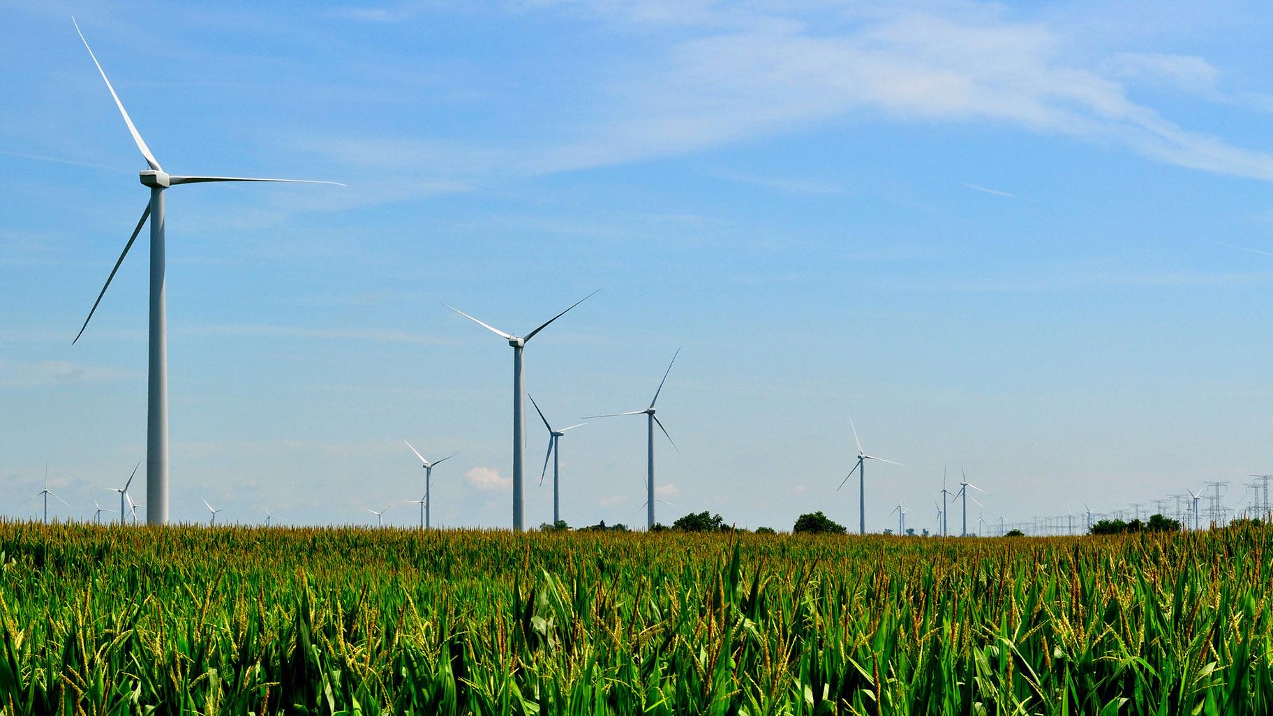 Could Springfield Pass the Clean Energy Jobs Act This Session ...