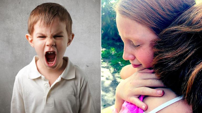 New Book Puts ‘Anger and Forgiveness’ Under the Microscope | Chicago ...