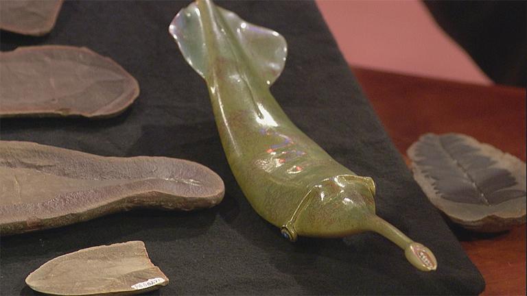 Field Museum Scientists Reveal Tully Monster’s True Nature | Chicago ...