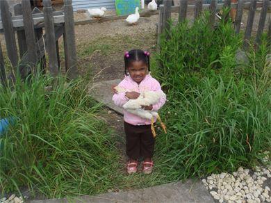 Eden Place | Chicago News | WTTW