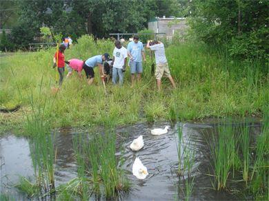 Eden Place | Chicago News | WTTW