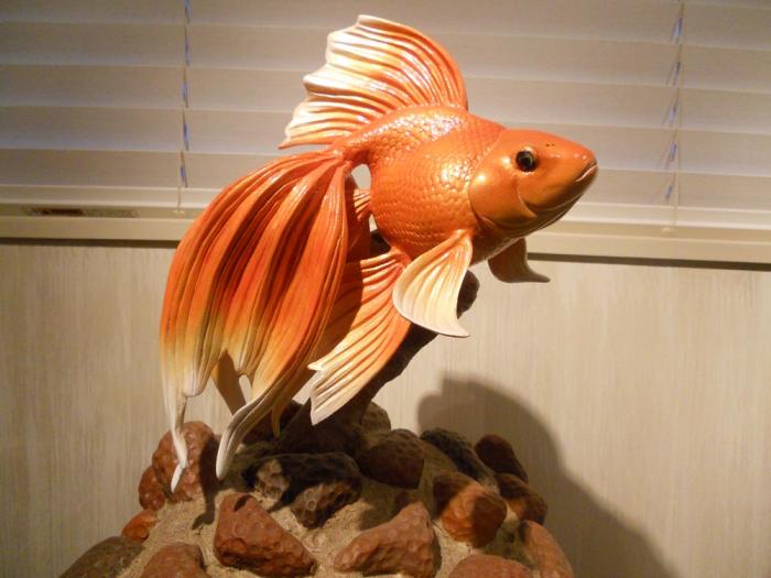 A Passion for Fish | Chicago News | WTTW