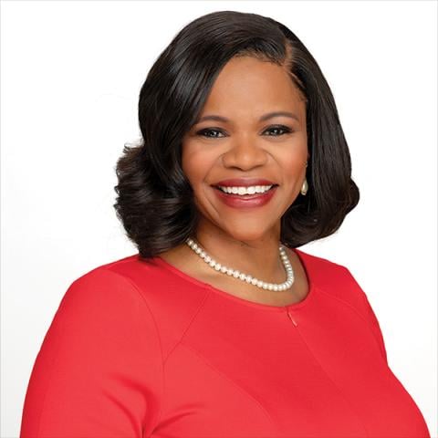 City Council | 2023 Chicago Election Voters' Guide | Chicago News | WTTW