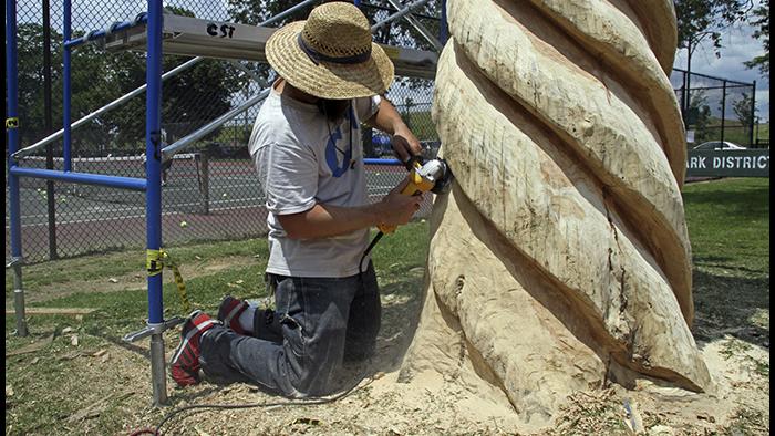 Turning Trees into Art | Chicago News | WTTW