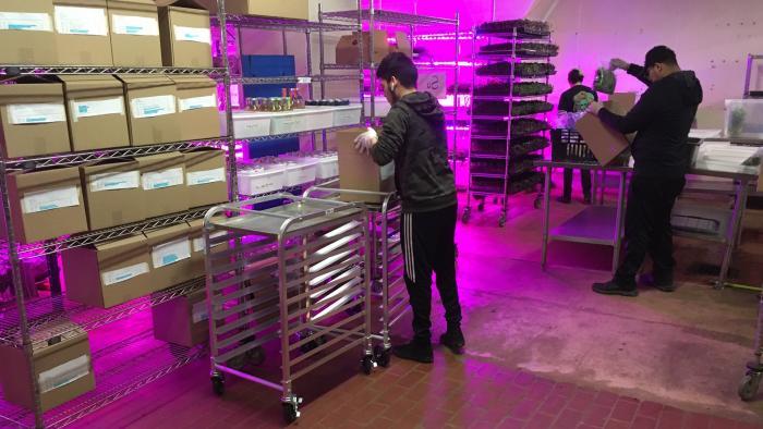 Had Enough of Canned Goods? Local Growers Team Up to Bring Farmers ...