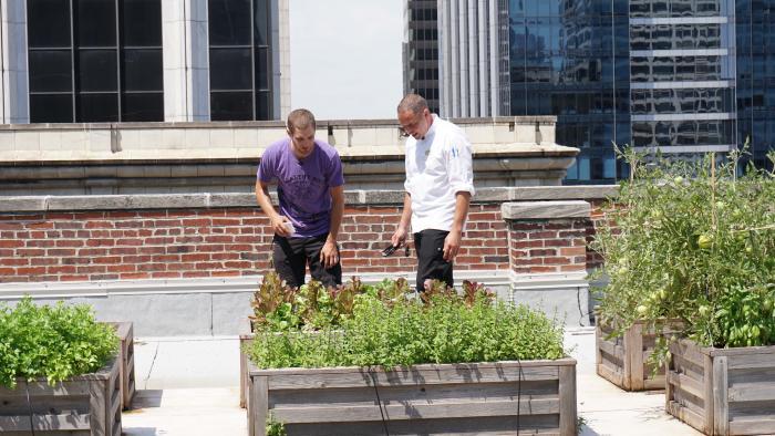 One Man’s Mission to Expand Composting in Chicago | Chicago News | WTTW