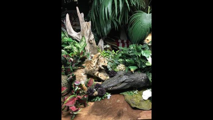 A Behind-the-Scenes Tour of Chicago’s Largest Prop House | Chicago News ...