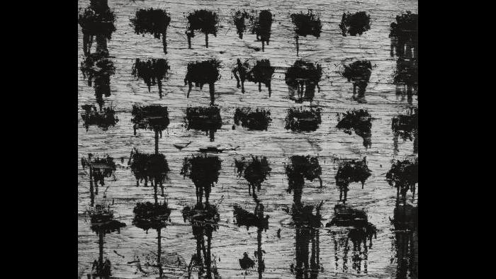The Radical Beauty of Photographer Aaron Siskind at the Art Institute ...