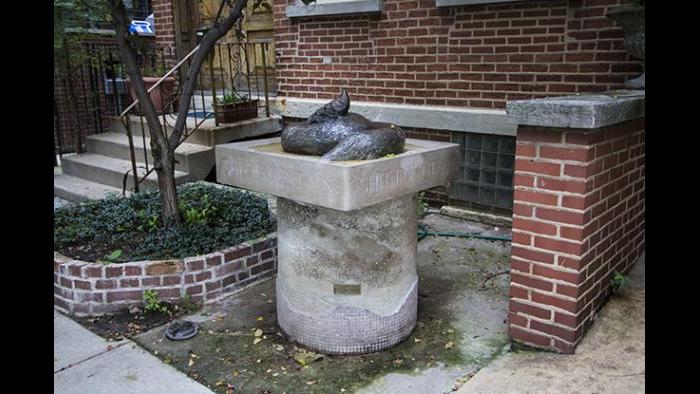 Chicago’s Fountains Make a Splash in New Book | Chicago News | WTTW