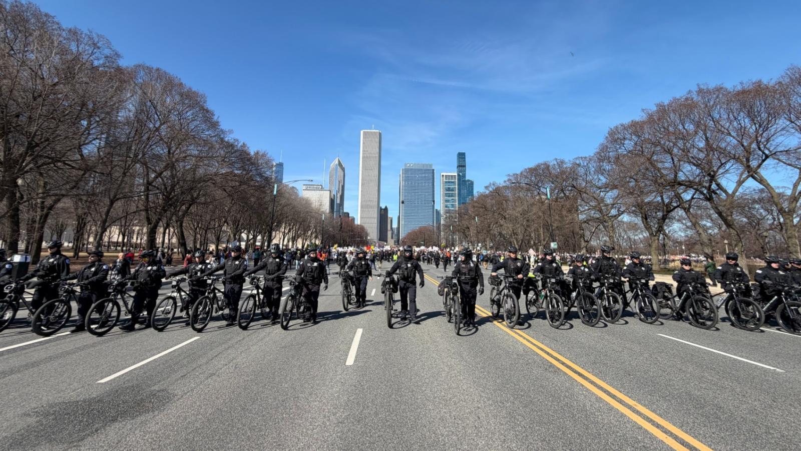 Thousands Rally, March in Chicago for National ‘No Kings’ Day of ...